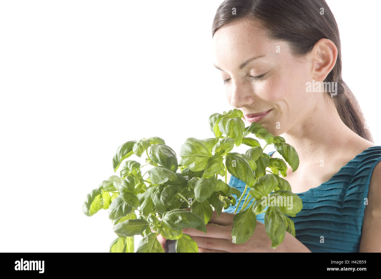 Woman, basil, smell, portrait, cropped Stock Photo - Alamy