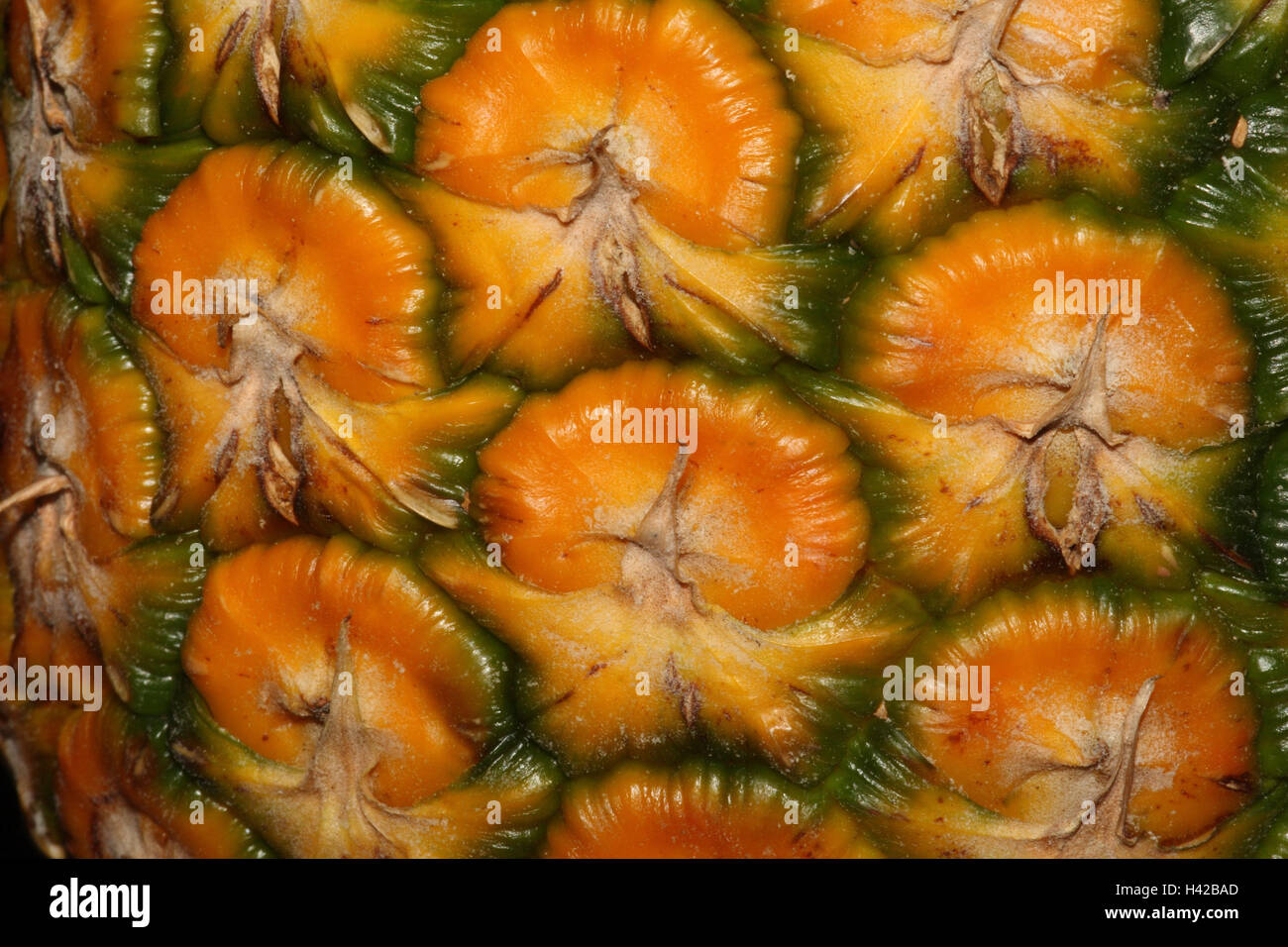 Pineapple close up hi-res stock photography and images - Alamy