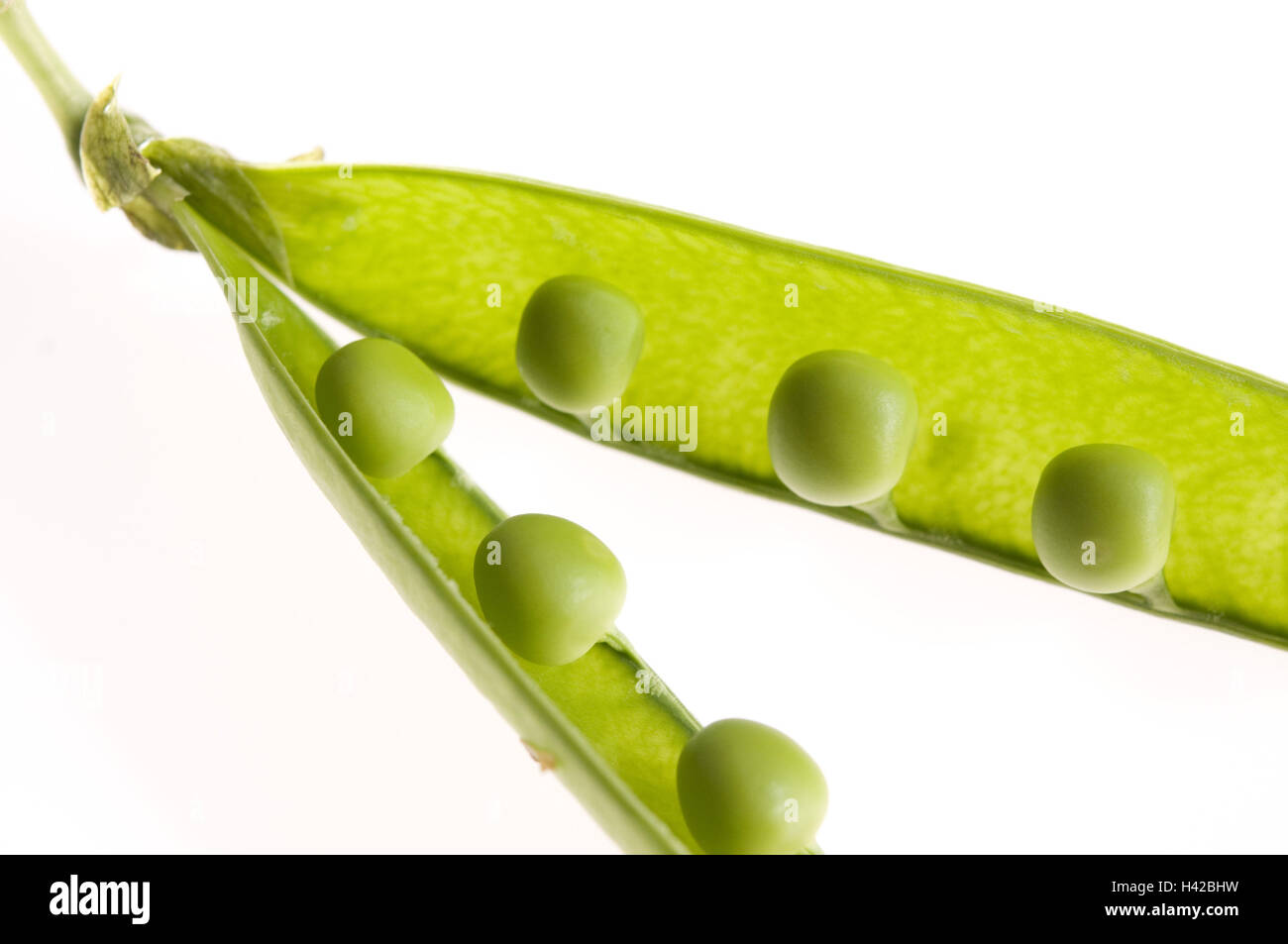 Pea pod cut out hi-res stock photography and images - Alamy
