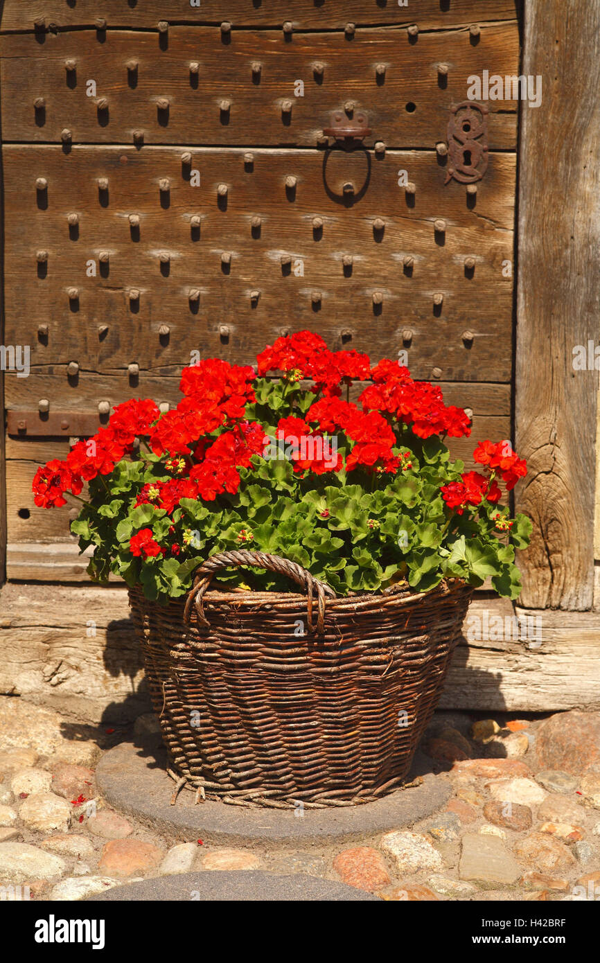Bath Interforefather, Open-air museum bunting's countries farmhouse ...