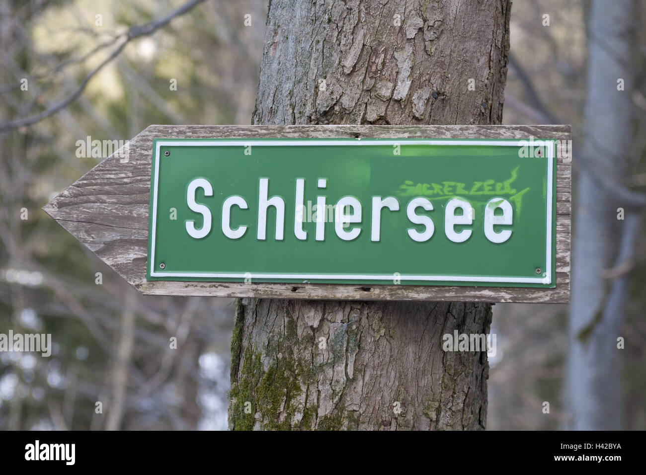Germany, Bavaria, sign, Schliersee, lake, signpost, sign, direction ...