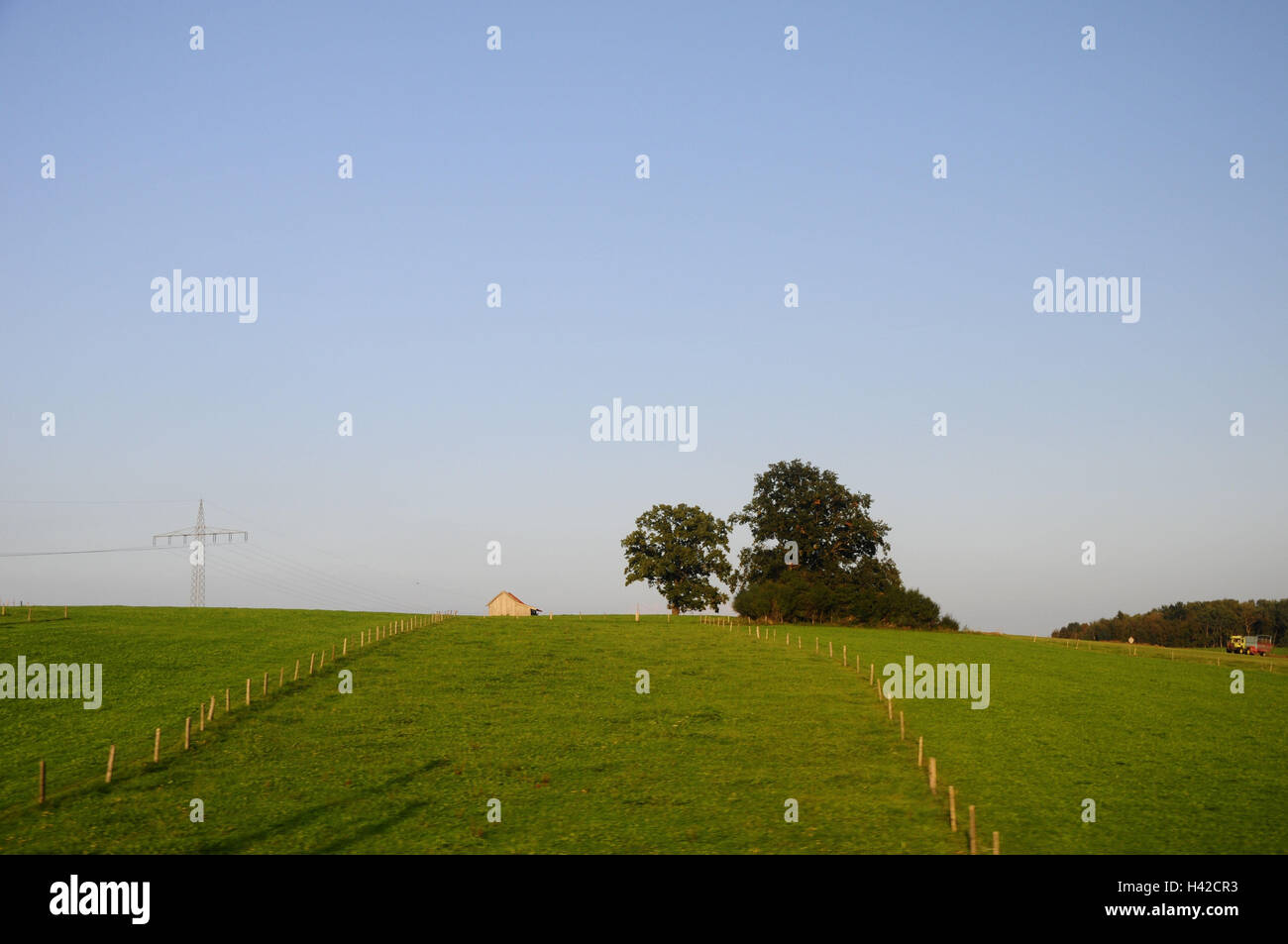 Pasture tree hi-res stock photography and images - Alamy