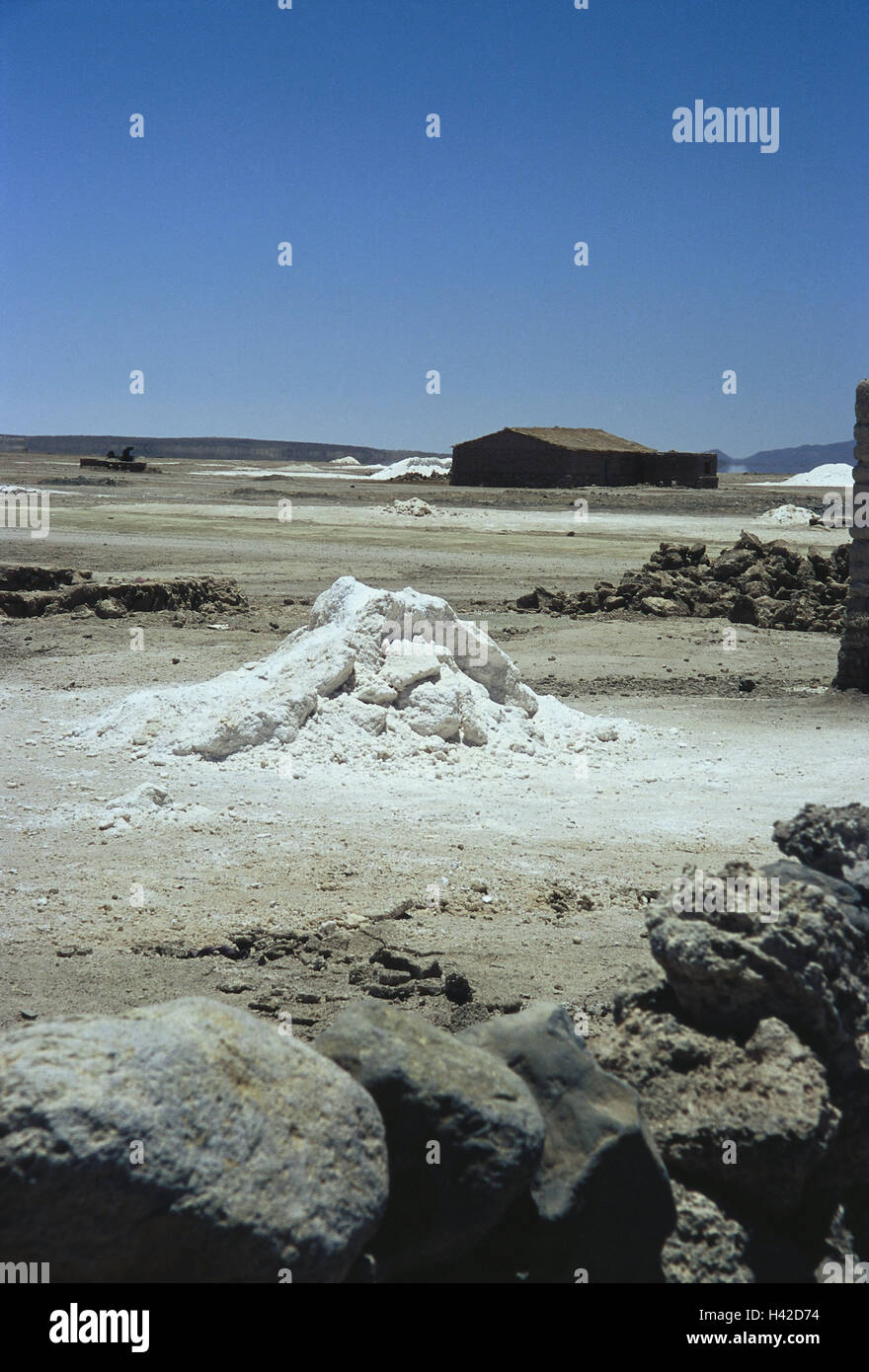 Bolivia, Altiplano, Salar de Uyuni, grain, pampas Salada, Colchani ...