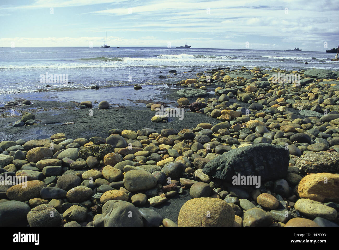 Chile, Patagonia, Punta Arenas, the Strait Magellan, beach, coast ...