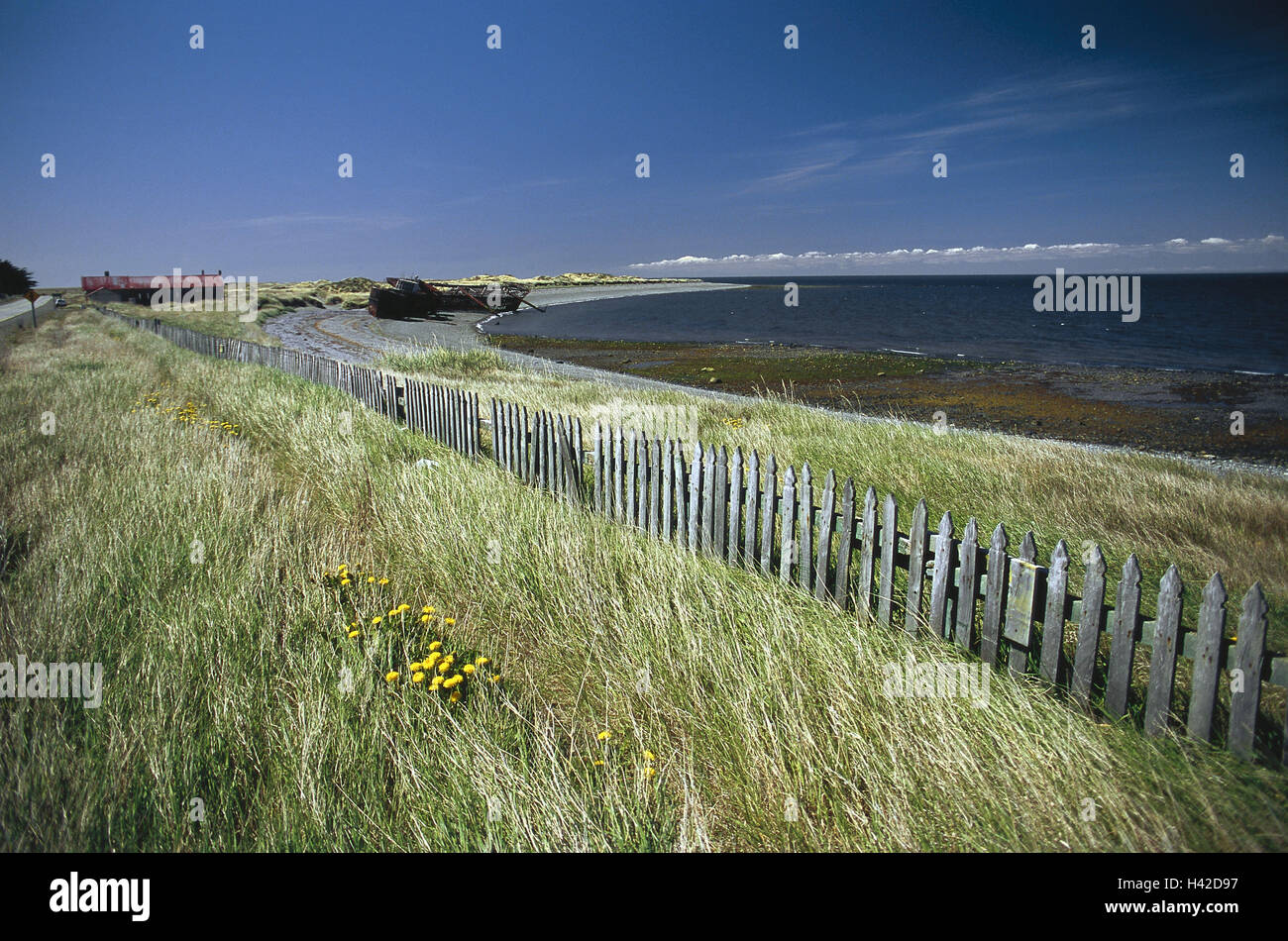 Chile, Patagonia, Estancia San Gregorio, the Strait Magellan, beach ...