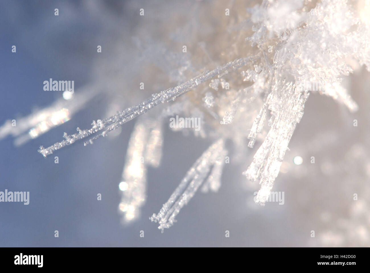 Snow crystals, close-up Stock Photo - Alamy