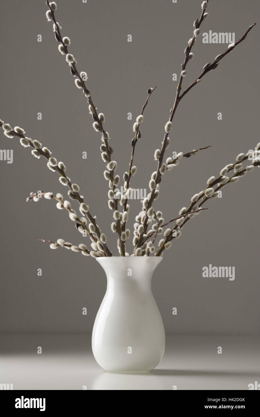 Vase, catkin, detail Stock Photo - Alamy