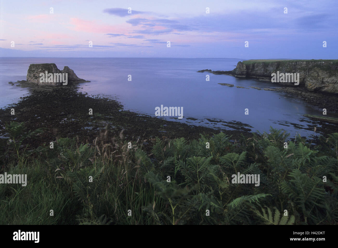 UK, Scotland, Caithness, Wick, coastal landscape, cliffs, sea, dusk ...
