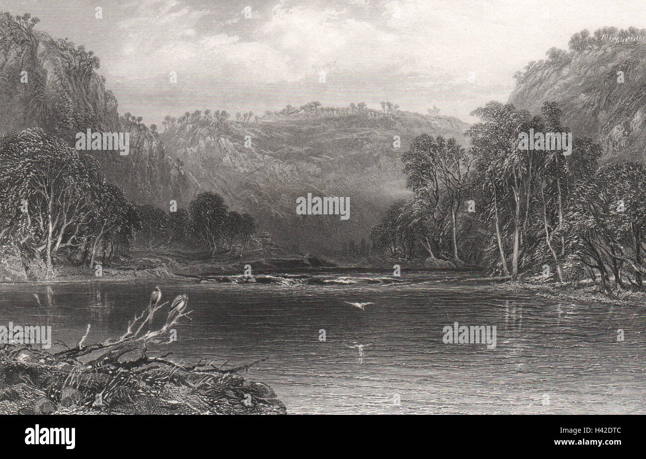 "On The Cow Pasture River". BOOTH/PROUT. Nepean River, NSW, Australia ...