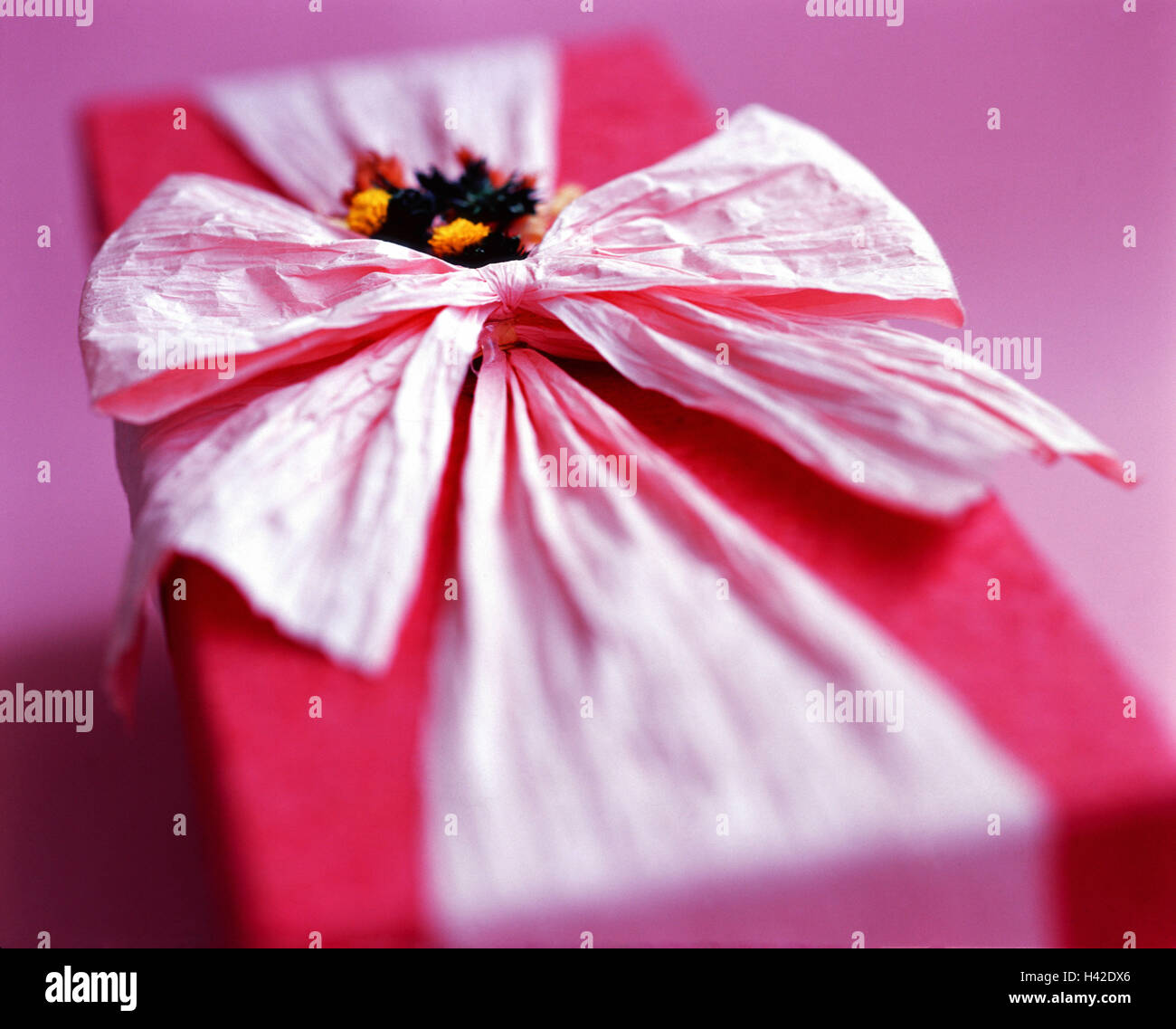 Present, wrapping paper, pink, loop, birthday present, present ...