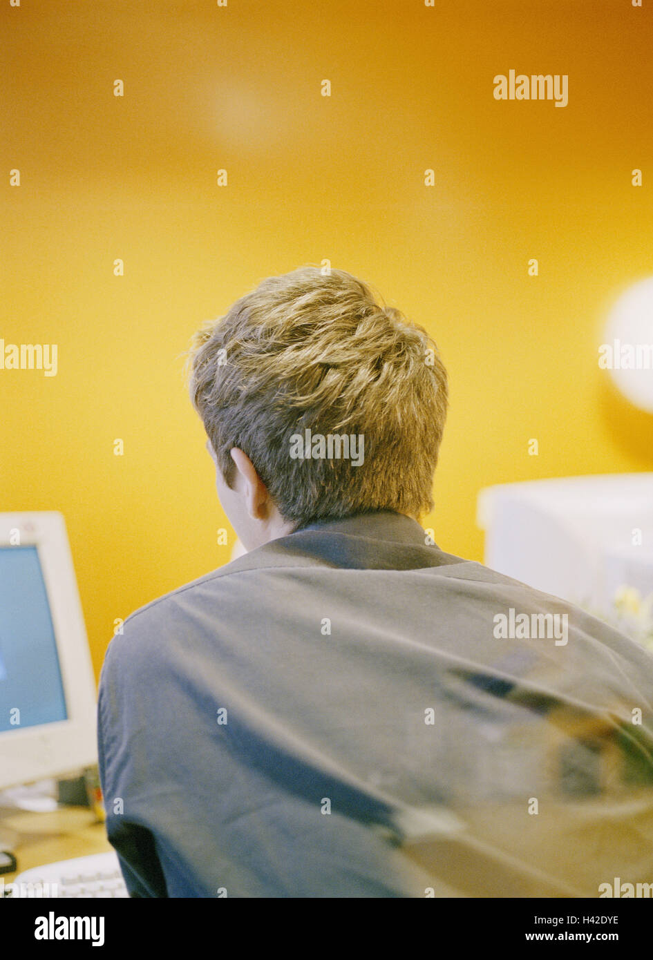 Desk, office worker, computer, back view, business, work, occupation ...