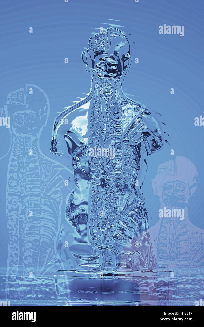 Glass person, detail, Composing, body, person, torso, head, brain, back ...