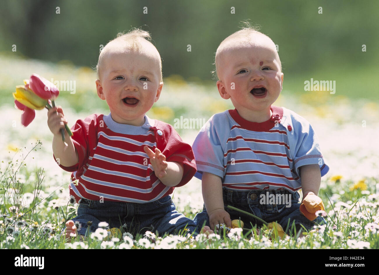 Flower meadow, twins, sit, play tulips, spring, meadow, flowers ...