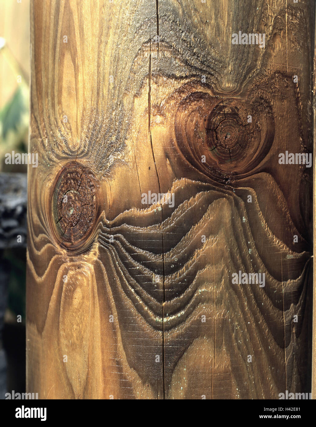 wooden posts, structure, close up, nature, wooden, pole, wooden pole ...