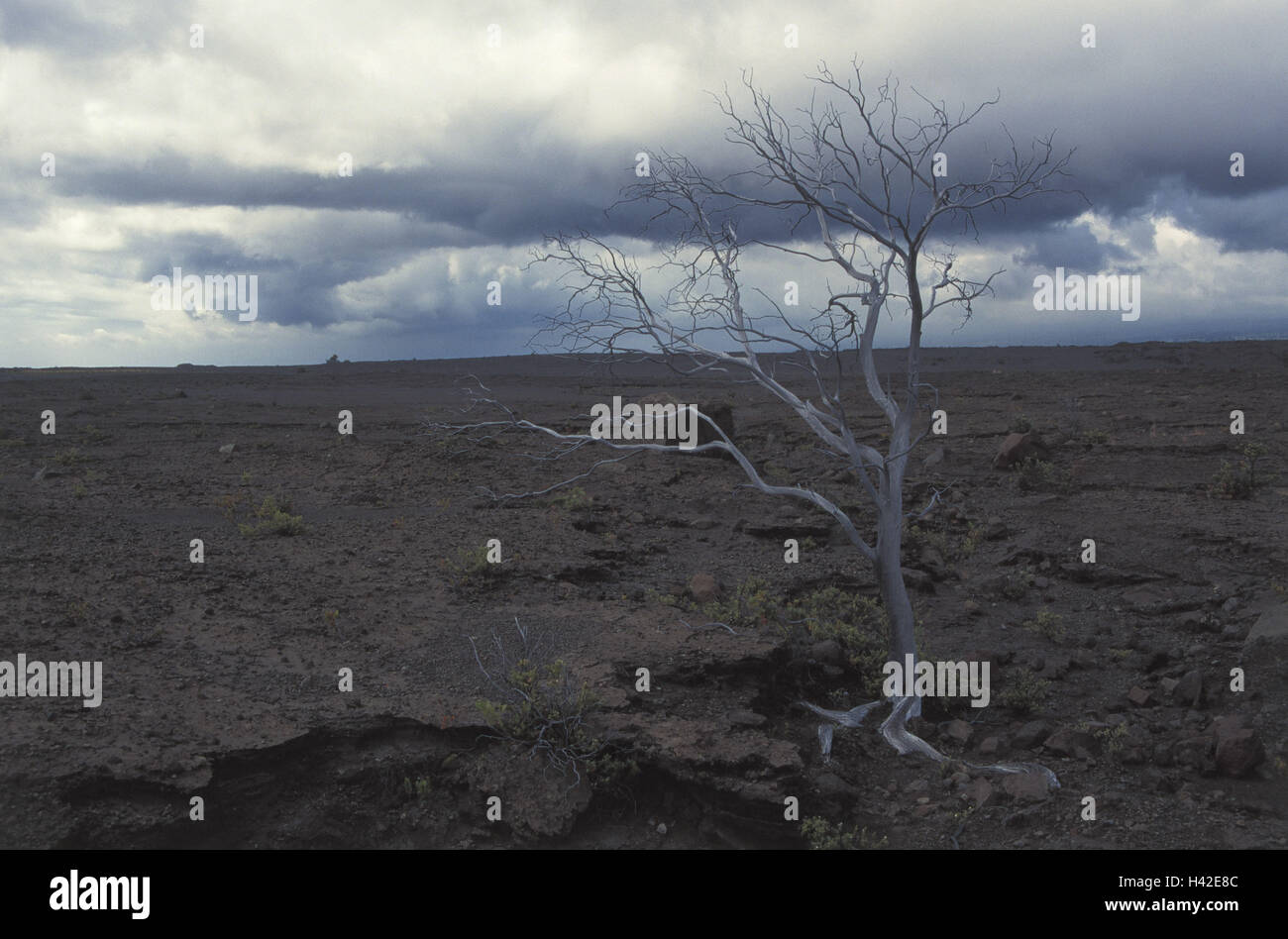 Deadly force hi-res stock photography and images - Alamy