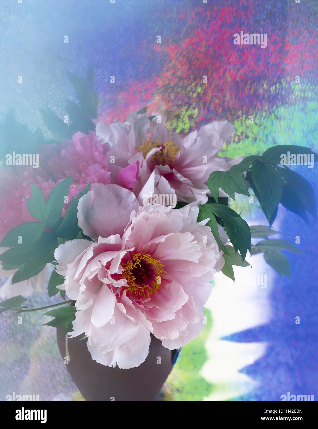 Vase, peonies, Paeonia officinalis, arrangement, flower arrangement ...