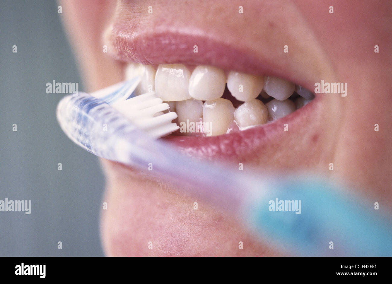 Woman, cog cleaning, close up, women's look, mouth, area around the ...