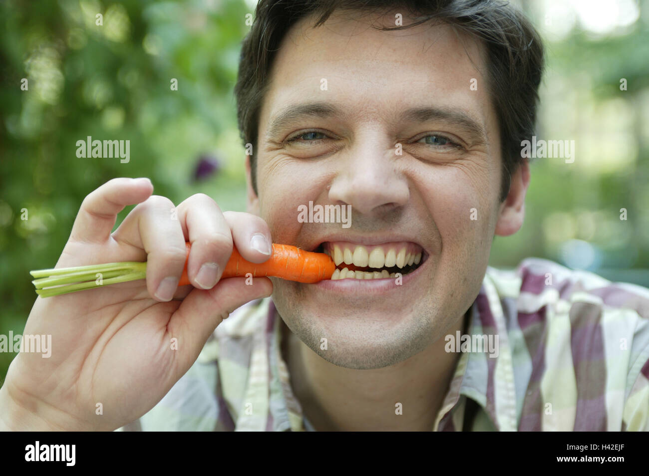 Man, happily, carrot, bite off, portrait, summer, man's portrait ...