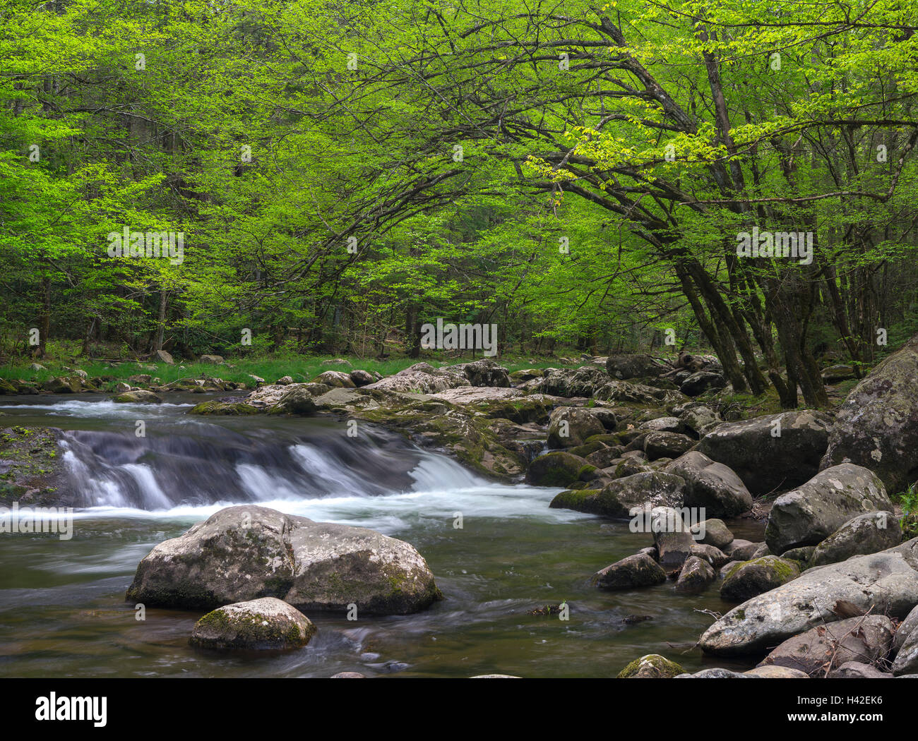 Great Smoky Mountains National Park, Tennessee: Middle Prong Little ...