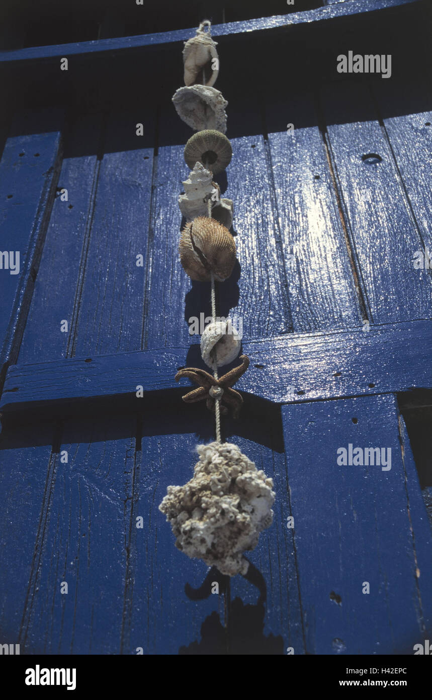 wooden wall, blue, decoration, cable, mussels, flotsam and jetsam ...