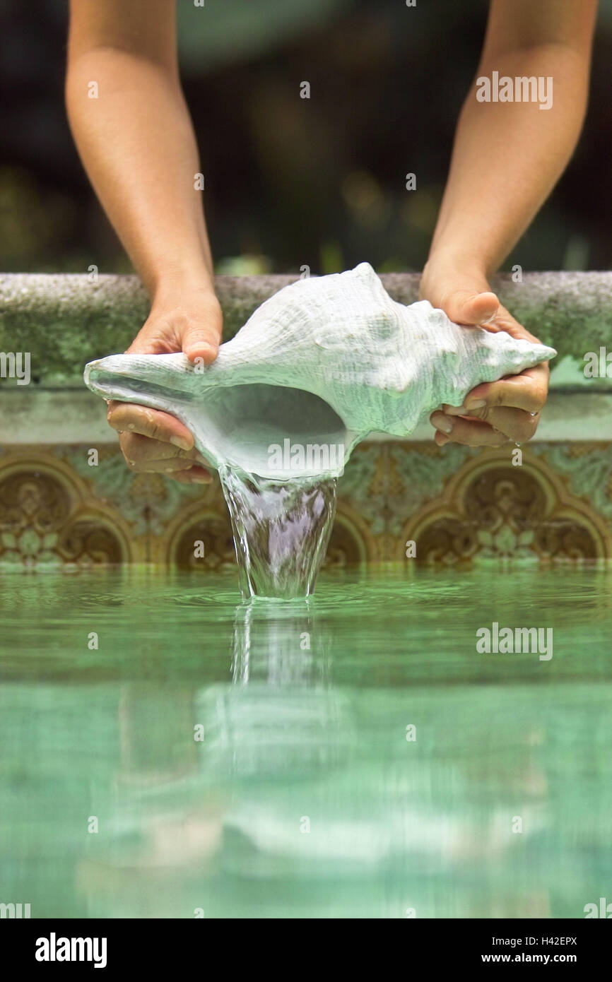 Pool, women hands, Meeresschnecke, Waters dive Woman, hands, sea bull ...