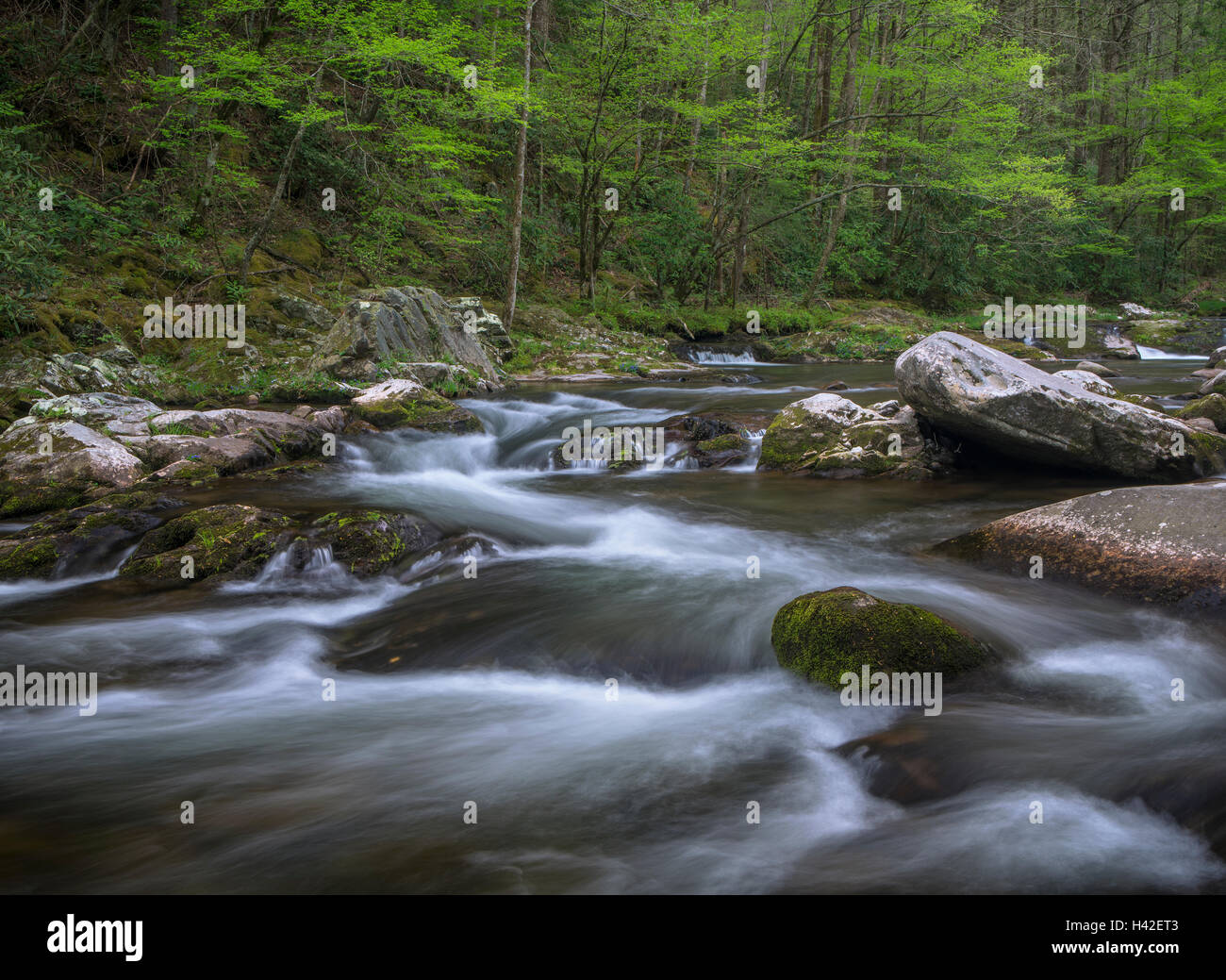 Great Smoky Mountains National Park, Tennessee: Middle Prong Little ...