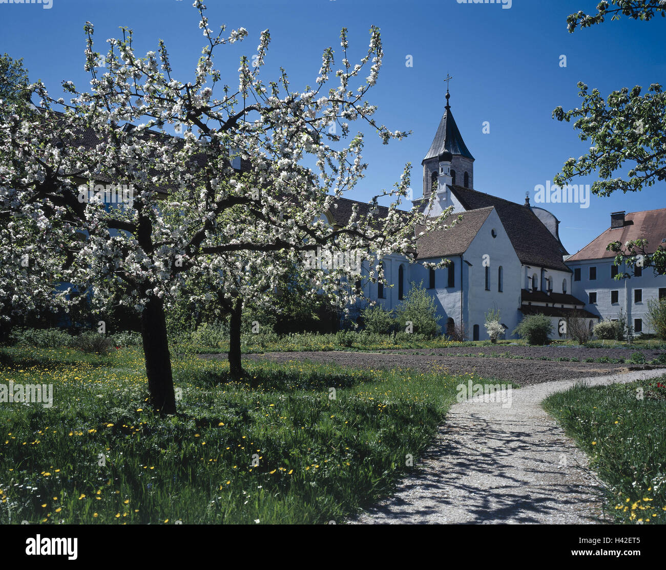 Germany, Upper Bavaria, Polling, monastery gardens, apple-trees ...