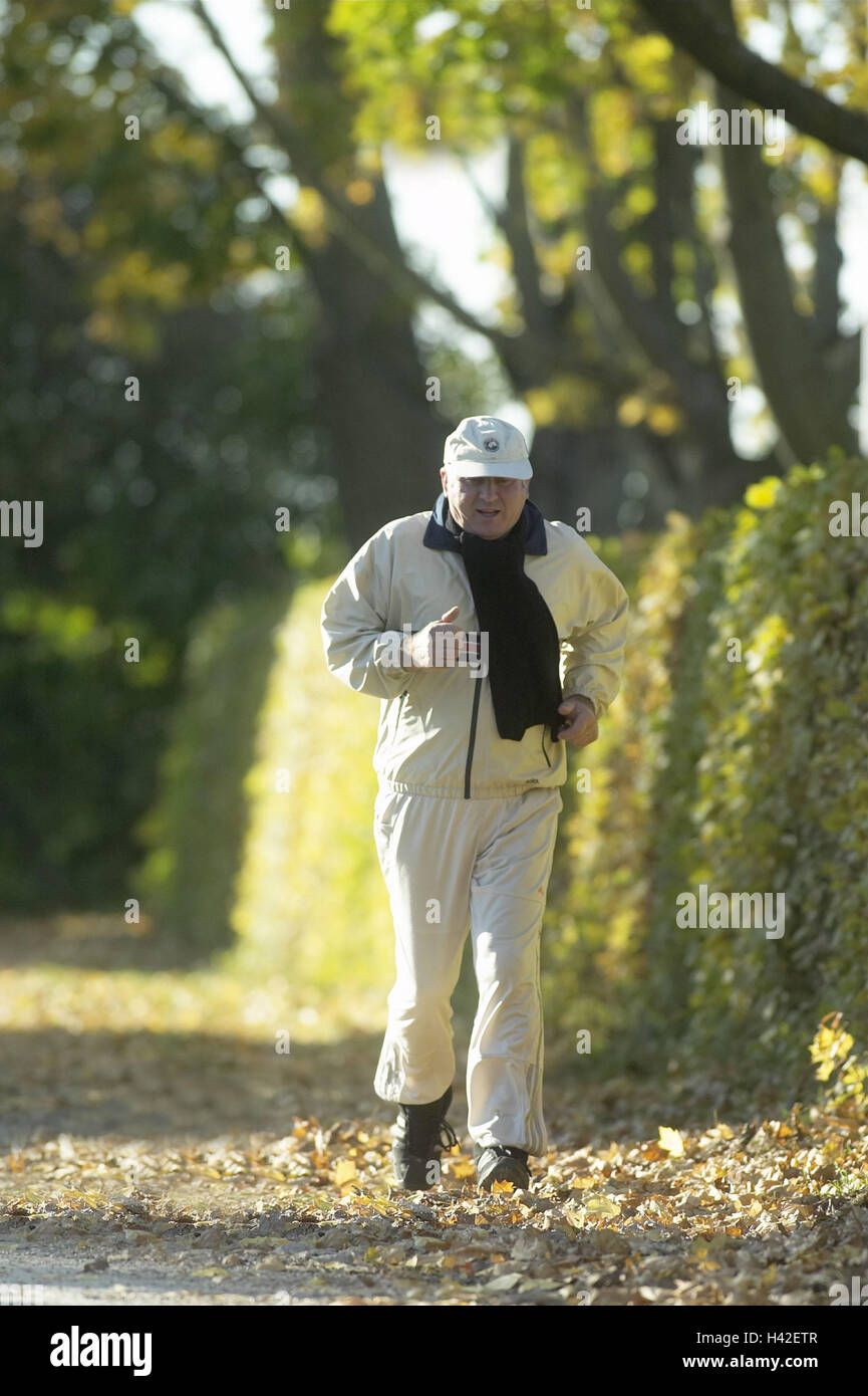 Sidewalk, senior, jogging, autumn edge the forest, senior citizens ...