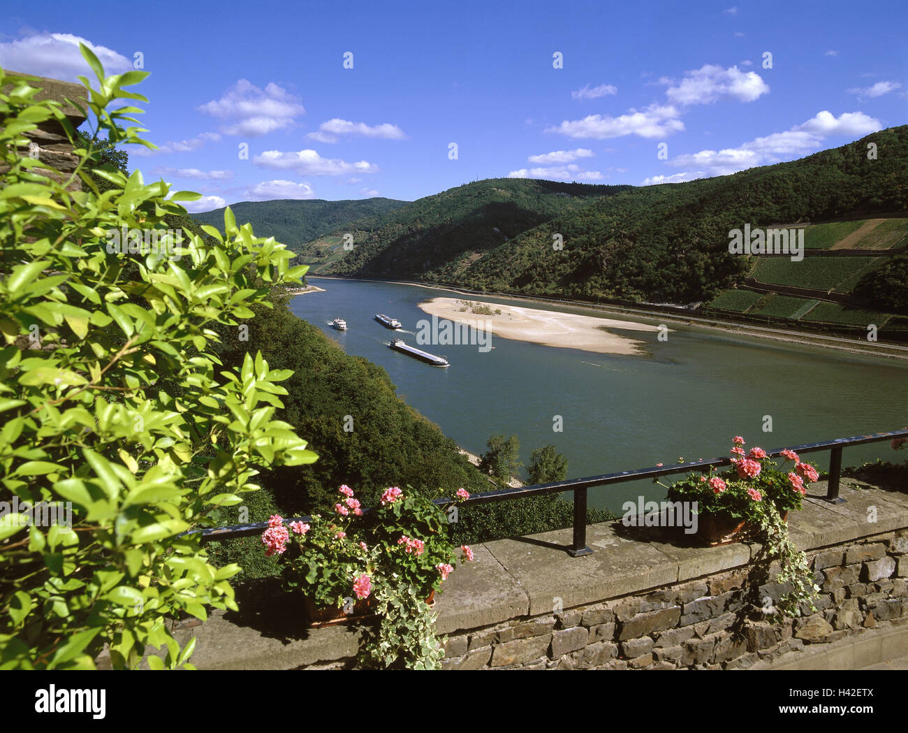 Germany, Rhineland-Palatinate, Rhine Valley, close Trechtingshausen ...