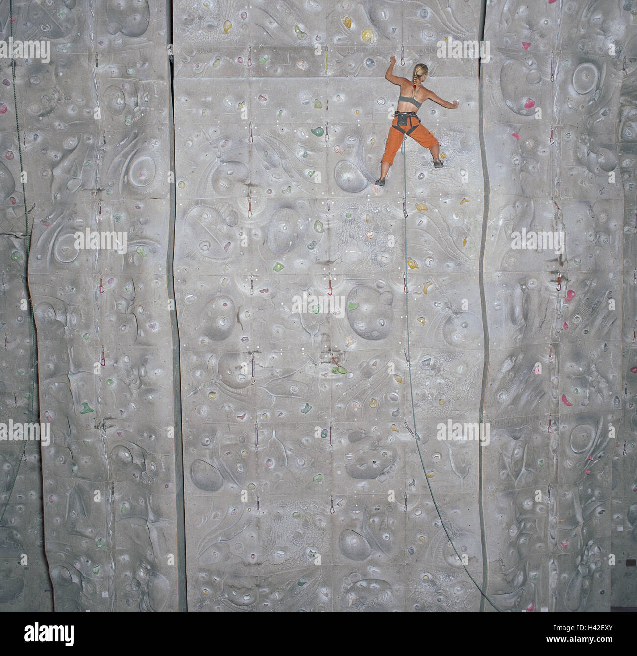 Wall bars, woman, back view, climbing plant, artificially, climbing ...