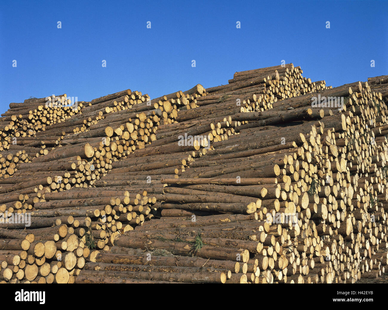 wooden strains, stacked, economy, wooden economy, industry, paper ...