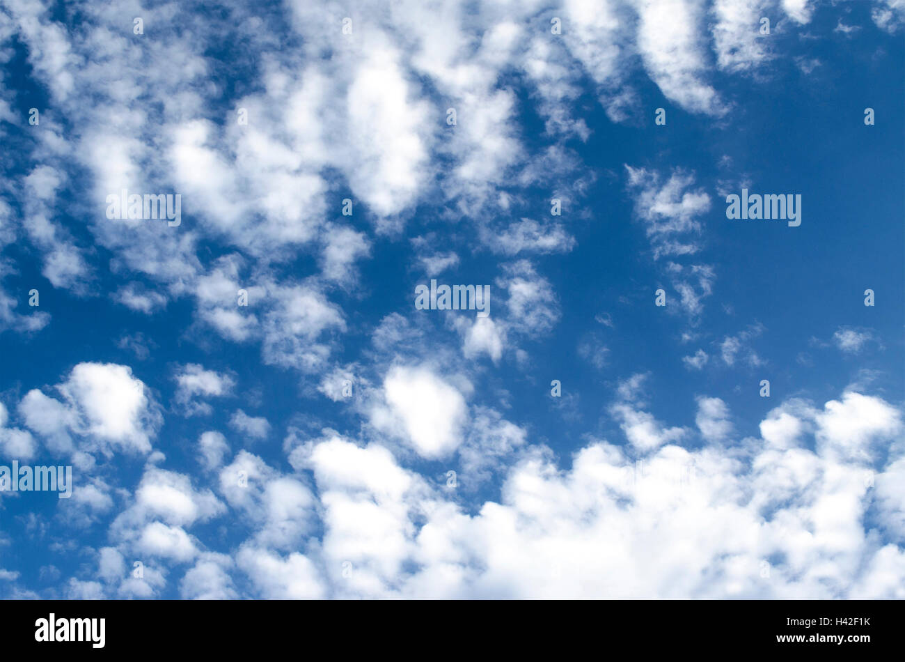 Bright sunny sky with streams cumulus clouds Stock Photo - Alamy