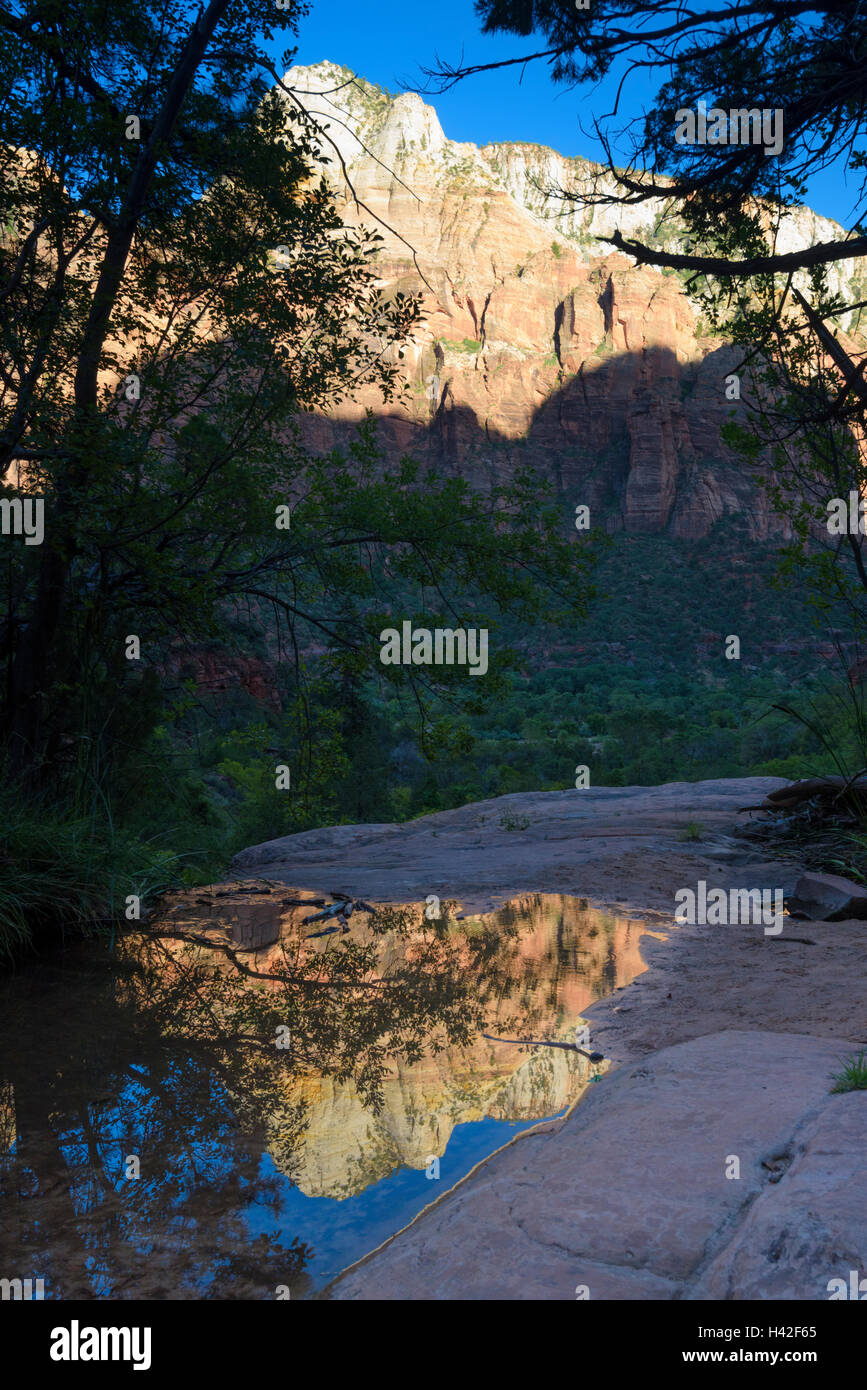 Mountain Scenery, Zion National Park, located in the Southwestern ...