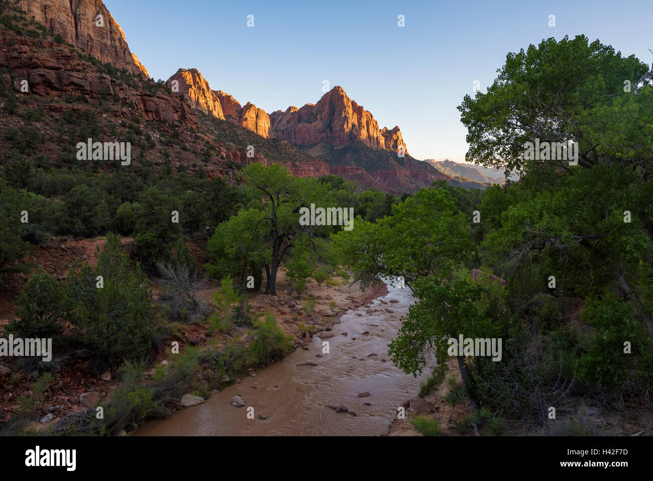 The Watchman mountain and the Virgin River, Zion National Park, located ...