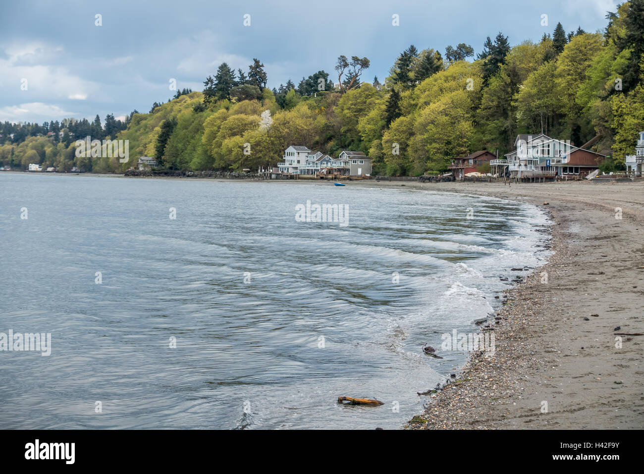 Small waves ripple toward shore at Dash Point Washington. Homes sit ...