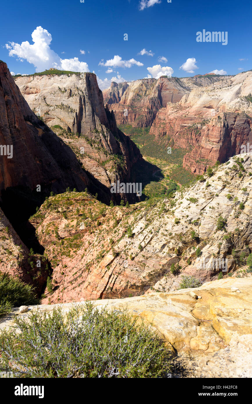 View from Observation Point, Zion National Park, located in the ...