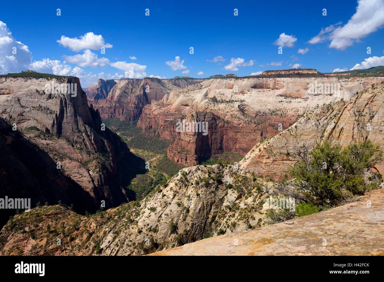 Zion Observation Point High Resolution Stock Photography and Images - Alamy