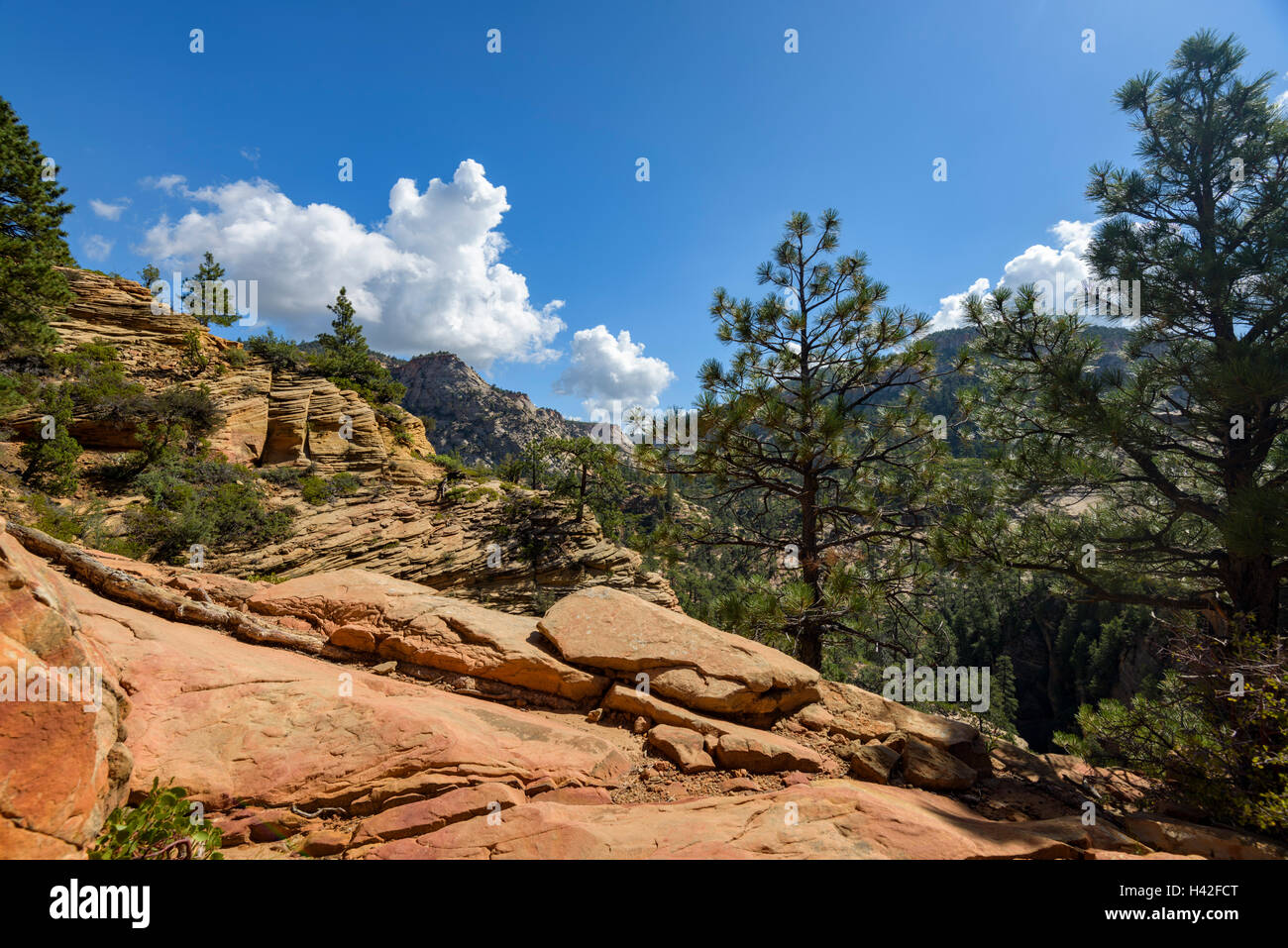 Mountain Scenery, Zion National Park, located in the Southwestern ...