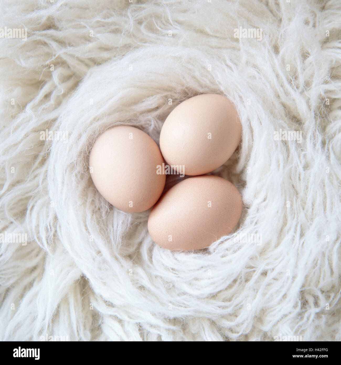 Want, poultry eggs, nest, unusually, "wool nest", wool threads, fur ...