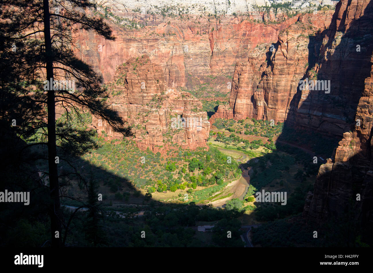 Mountain Scenery, Zion National Park, located in the Southwestern ...