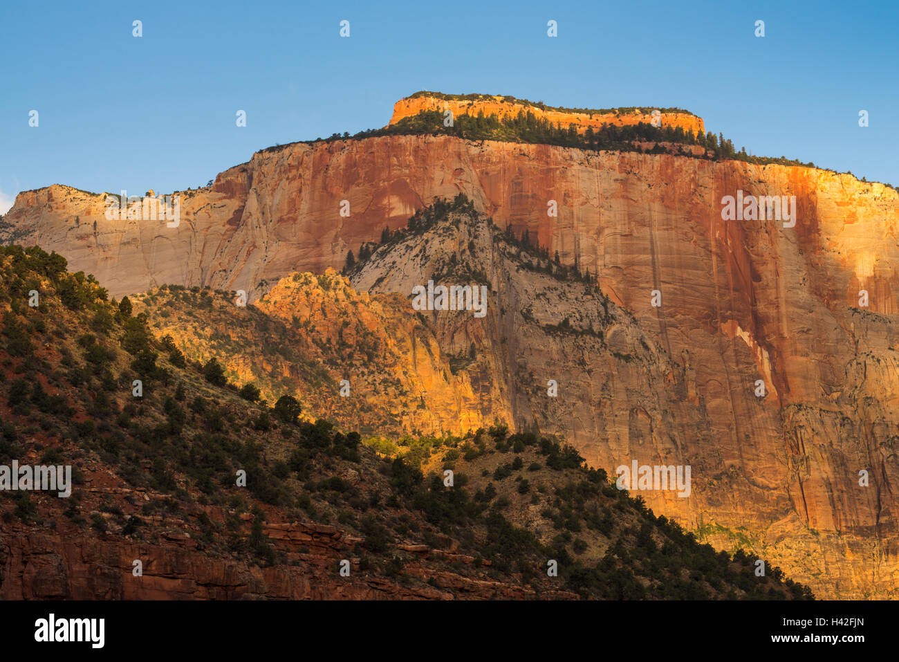 Mountain Scenery, The West Temple, Zion National Park, located in the ...