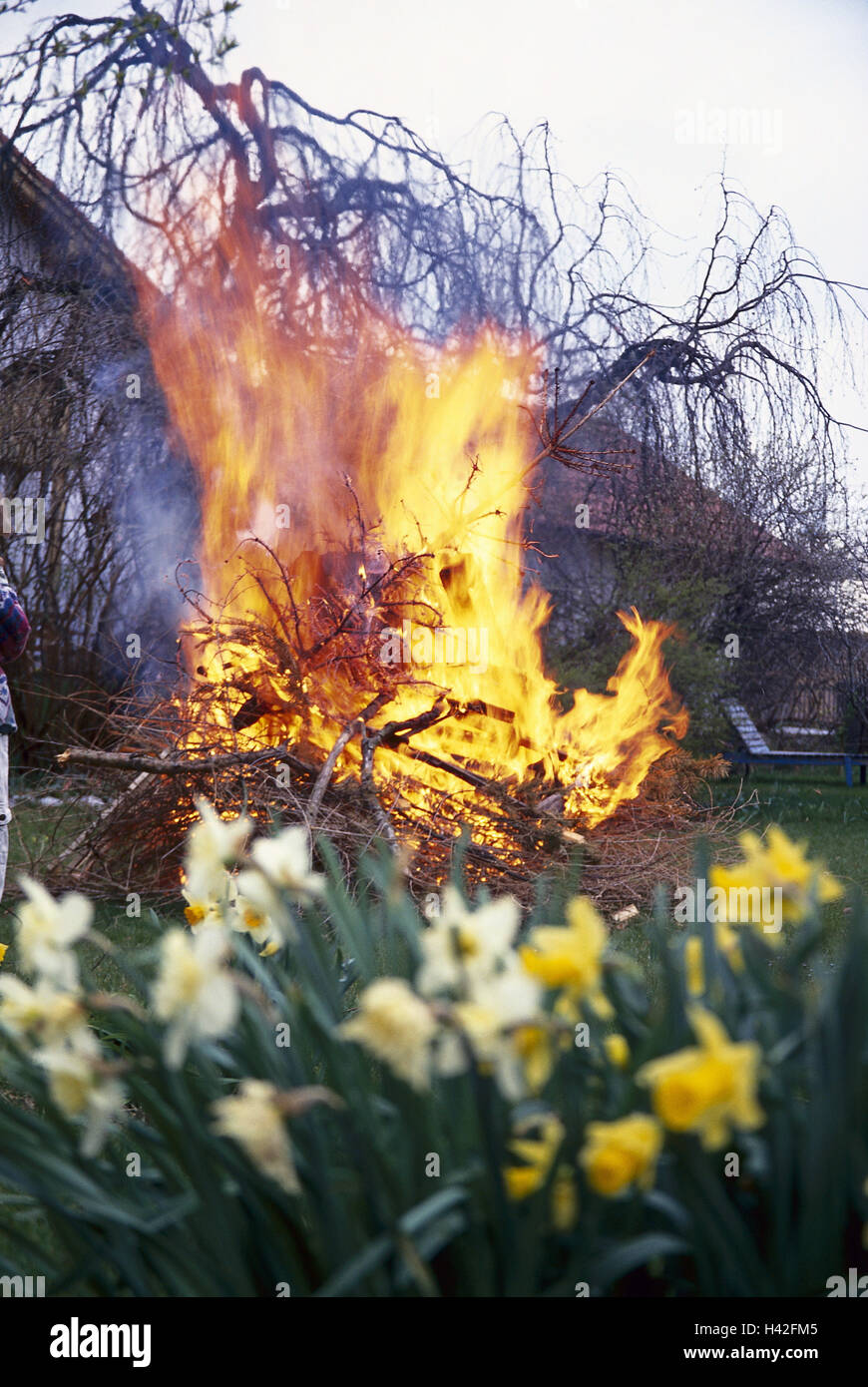 Garden, Easter fire, narcissi, detail, custom, traditions, feast ...