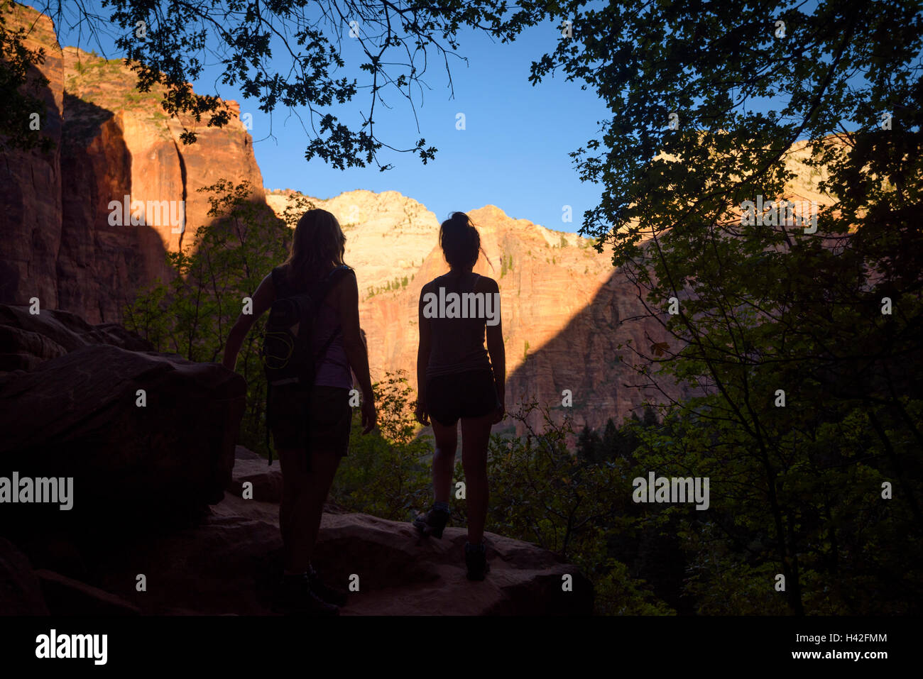 Mountain Scenery, Zion National Park, located in the Southwestern ...