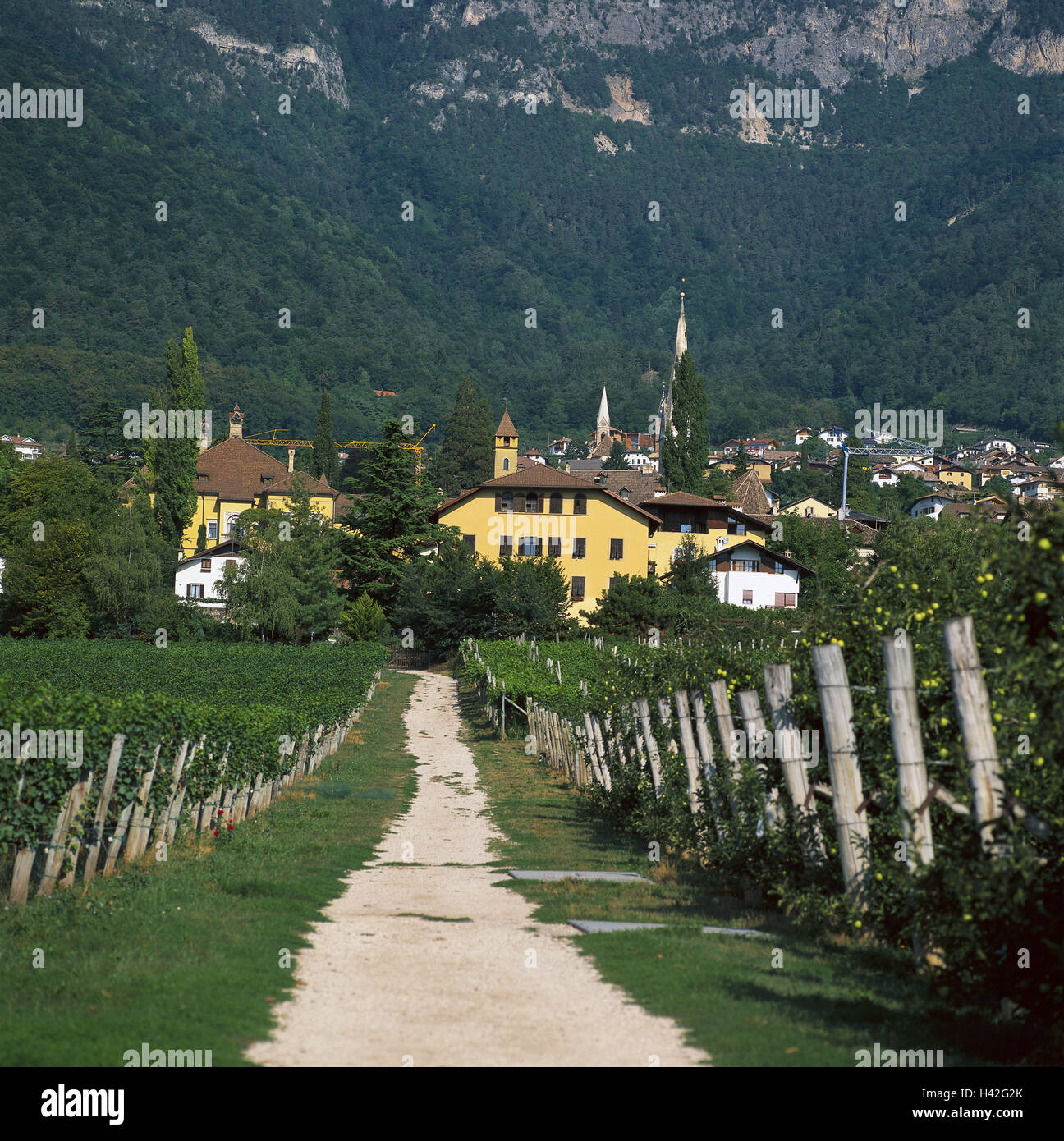 Strada italiana hi-res stock photography and images - Alamy