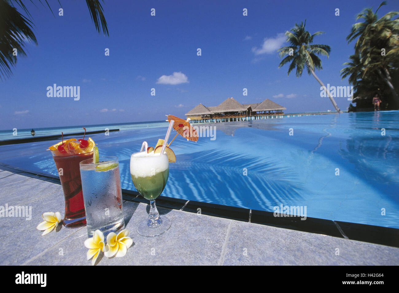 Swimming pool, cymbal margin, cocktails the Maldives, bungalows, hotel ...