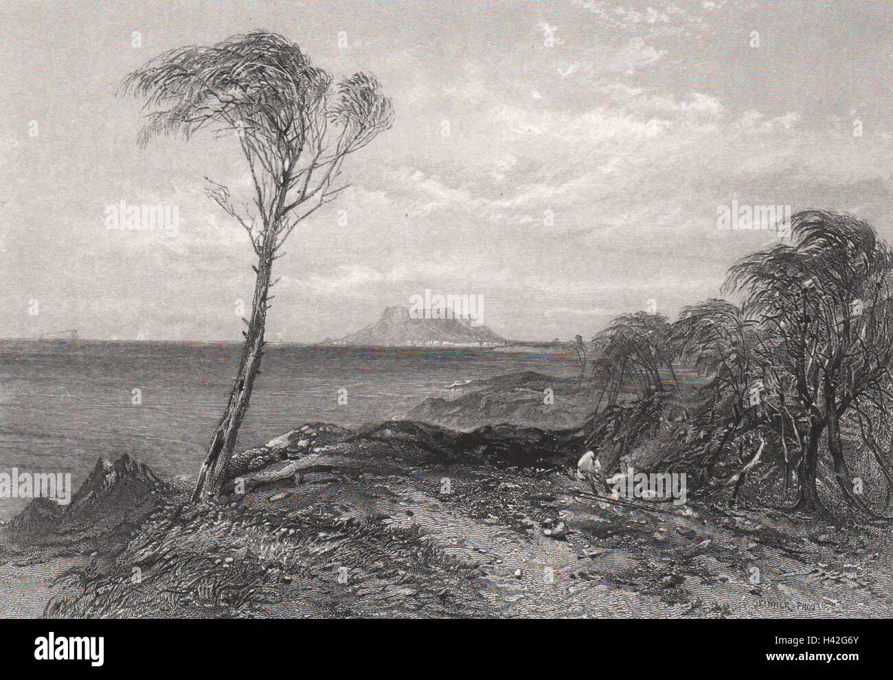 "Maria Island, Tasmania". Edwin Carton BOOTH/John Skinner PROUT ...