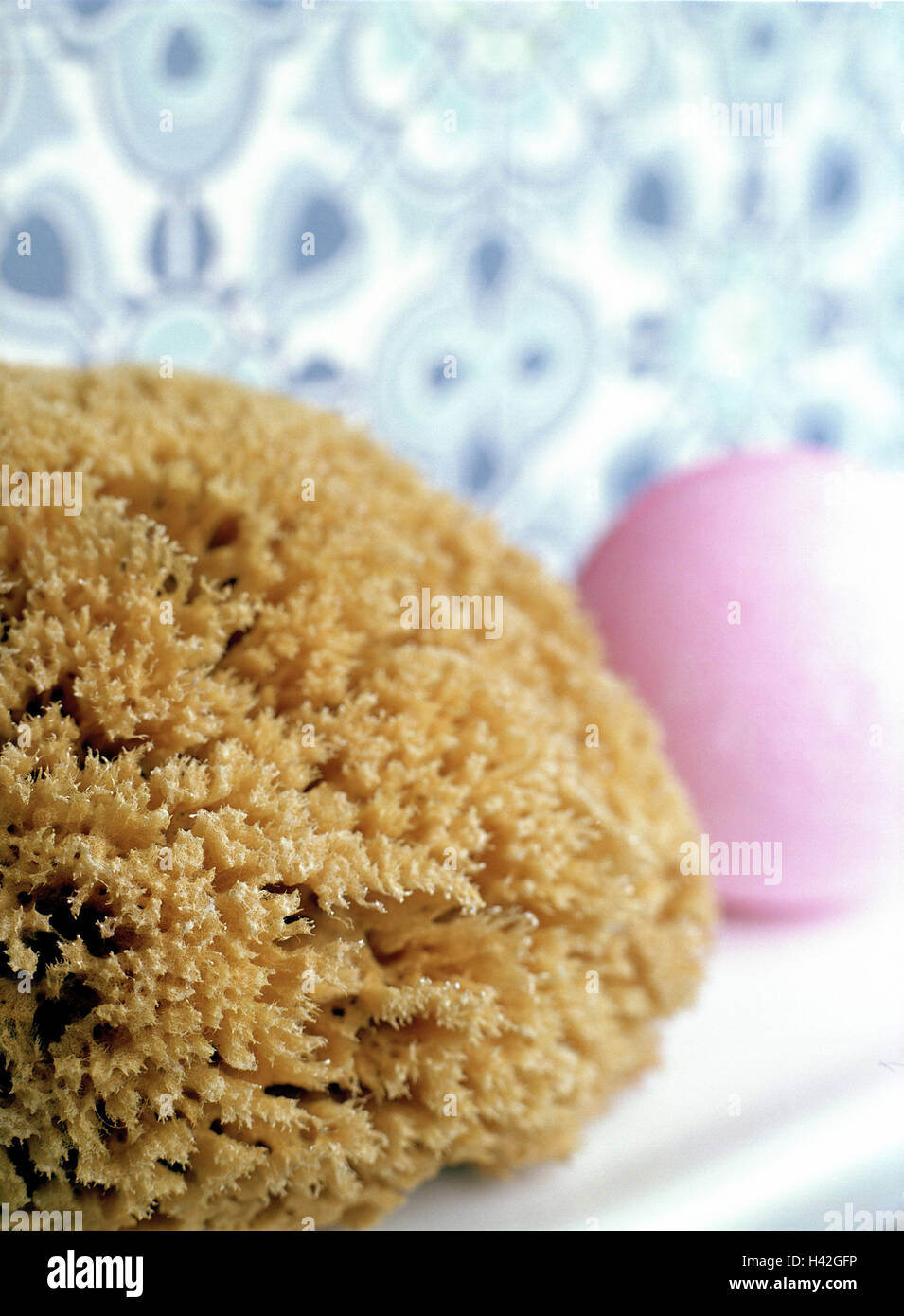 Cosmetics article, nature fungus, bath sphere, pink, detail, cosmetics ...