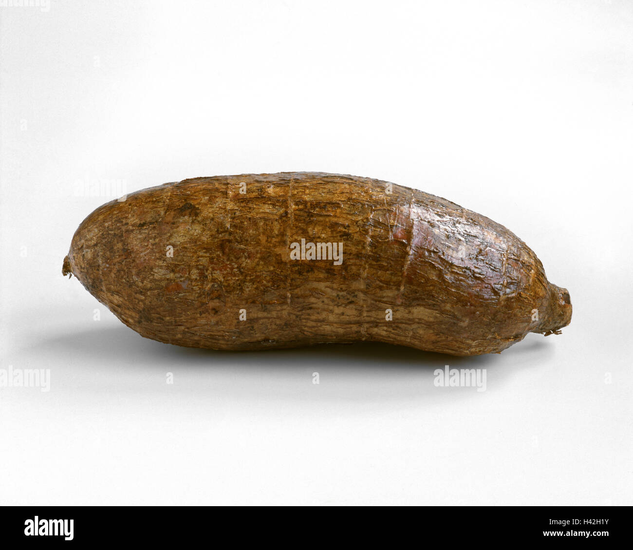 Manioc root, nodule, root nodule, Manioka, Mandioka, Cassave, Kassave ...