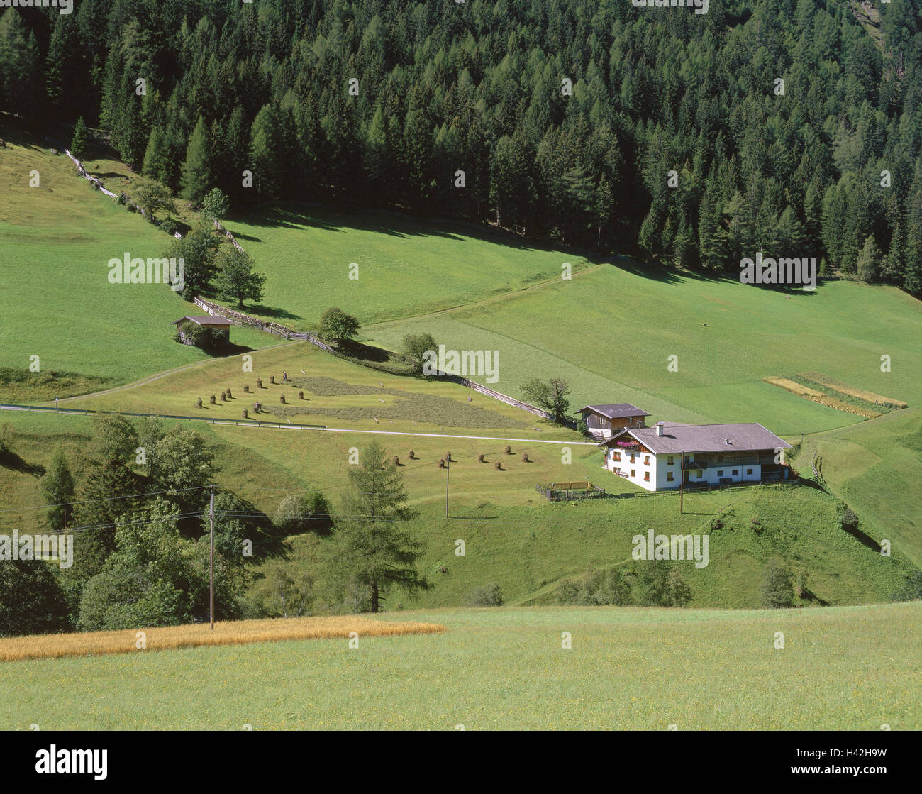 Austria, Tyrol, Valsertal, mountain landscape, farmhouse, Europe ...