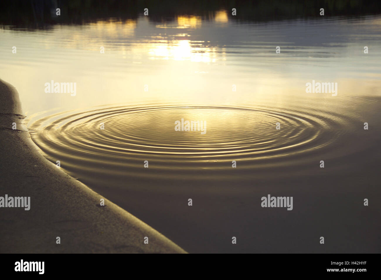 Concentric Circles Nature High Resolution Stock Photography and Images ...